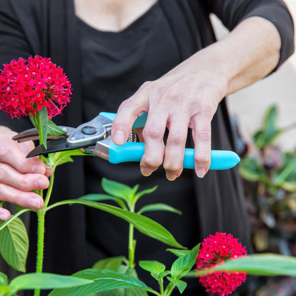 Types of hand deformities caused by RA - Badia Hand to Shoulder Center